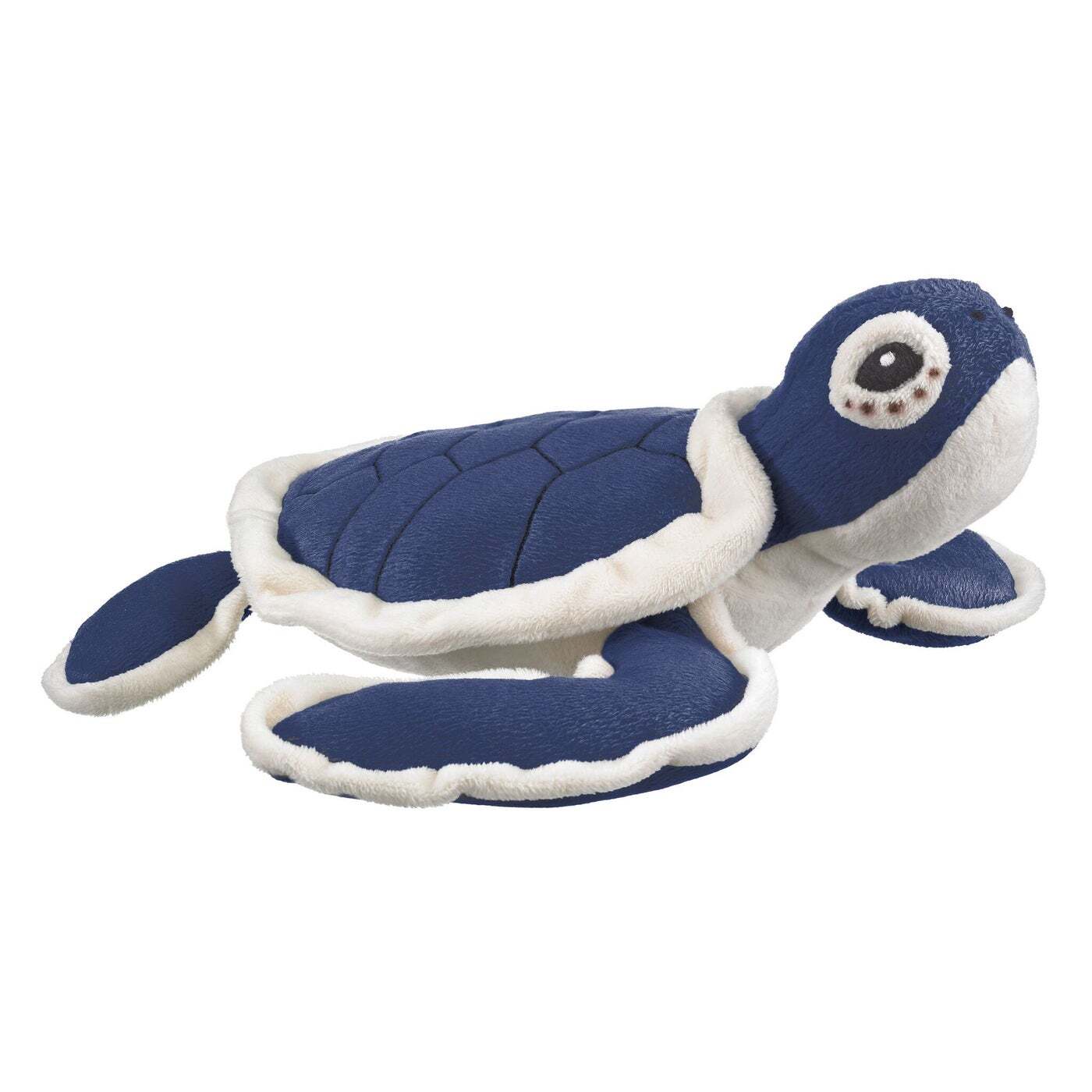 Hatchling Sea Turtle | The Artistic Flip Flop